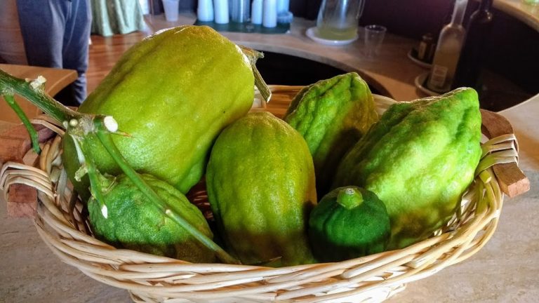 Santa Maria del Cedro and the Precious Diamante Citron - Calabria, Italy