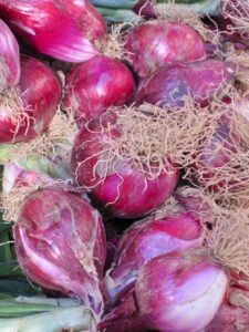 Tropea, Calabria: Italy's Most Beautiful Village – It's Official!
